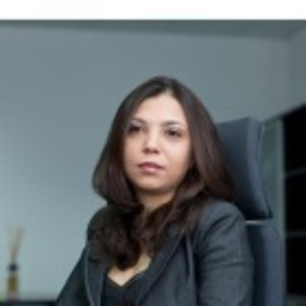 Dipl.-Ing. Lara Popovici - Senior Performance Controller - Siemens AG ...