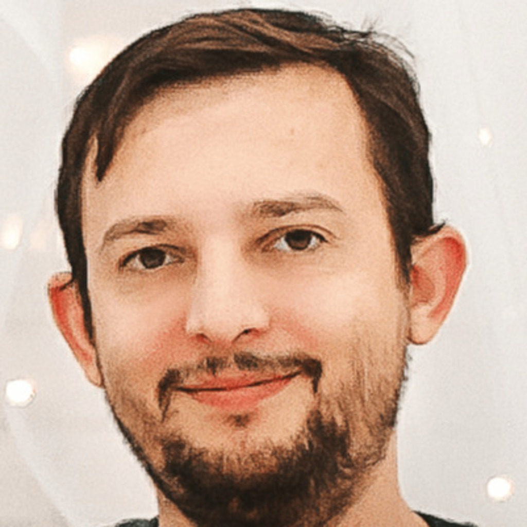 Vladimir Ananyev - Java Developer - Webfleet Solutions | XING