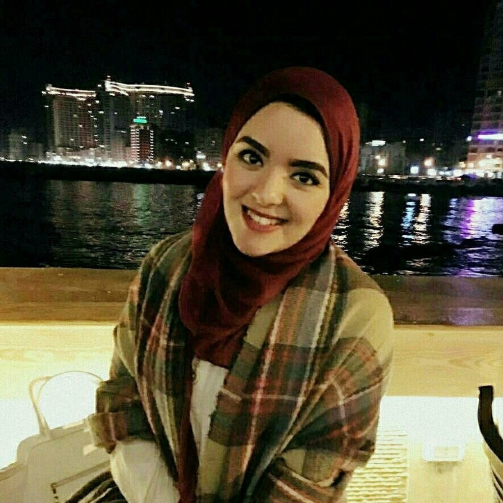 menna abbassy - Senior Ms Dynamics CRM Solution Developer - Link ...