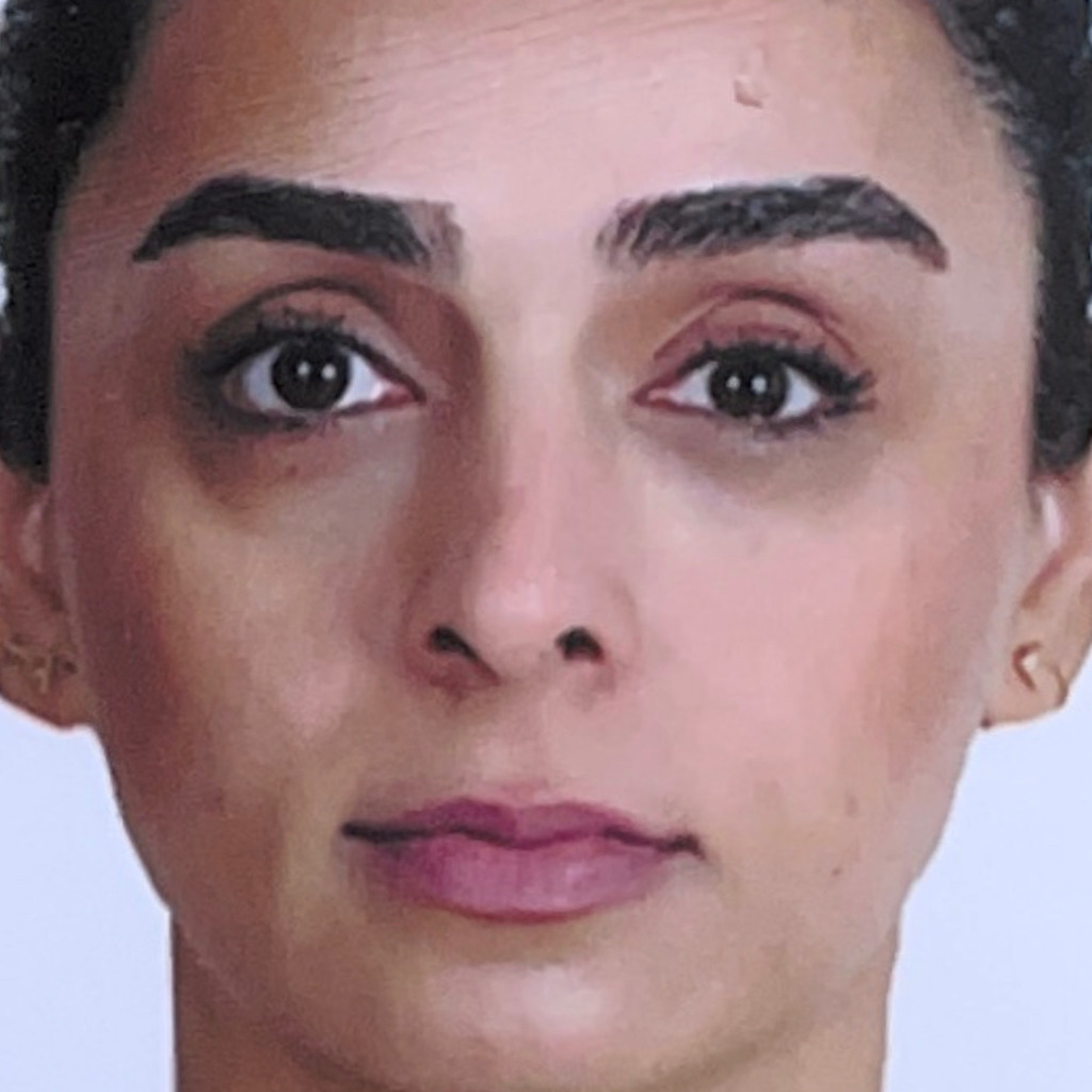 Elham Sadat Mirzadeh vaghefi - International management - Alpen-Adria ...