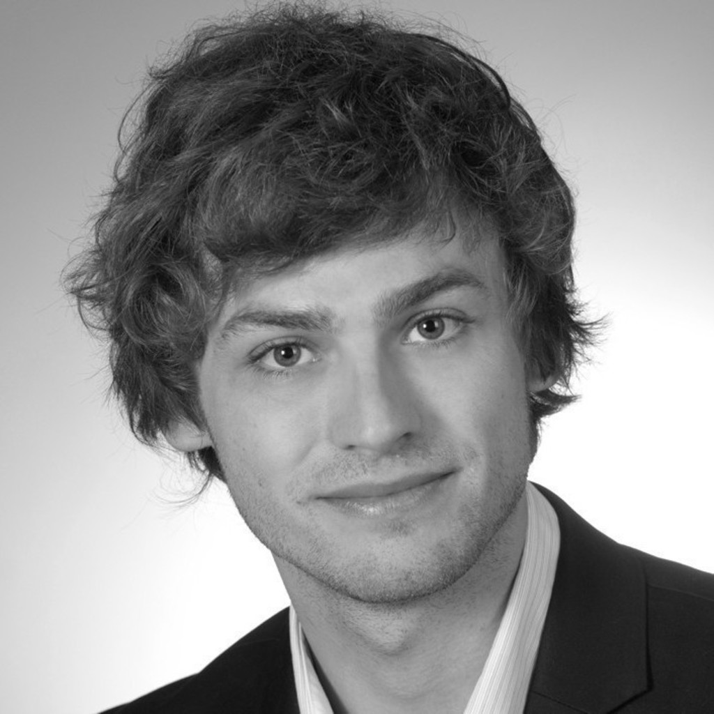 Michael Ferdinand - Softwareentwickler Migrationstechnik - msg life ...