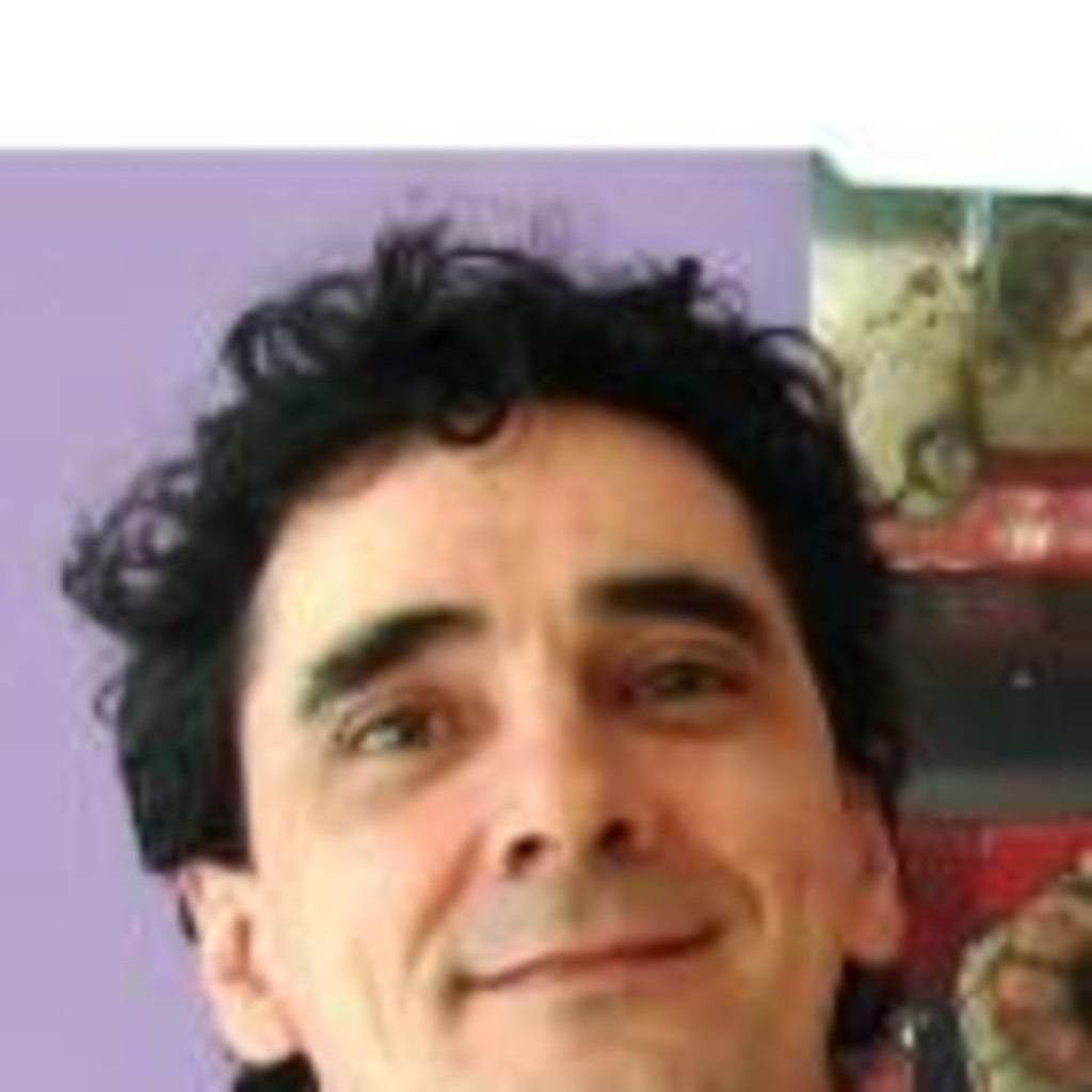 Prof. Dr. Daniel Luzzi - Director - Cognita Institut for Digital ...