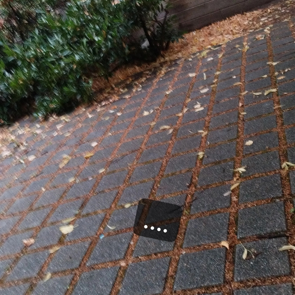 Laura Bosse - Angestellte - H&M Hennes & Mauritz Online Shop AB & Co ...