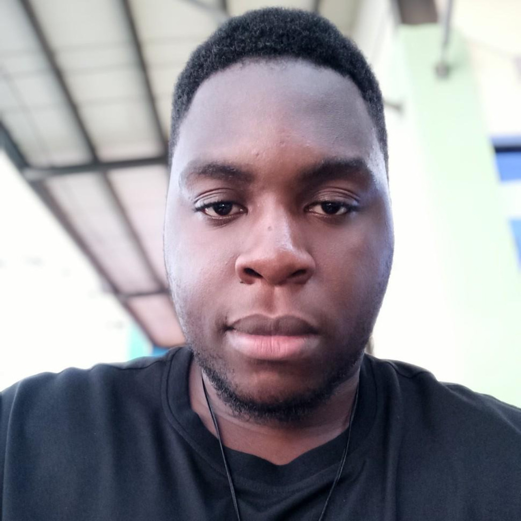 David Okeke - Web Programmer - Aptech | XING