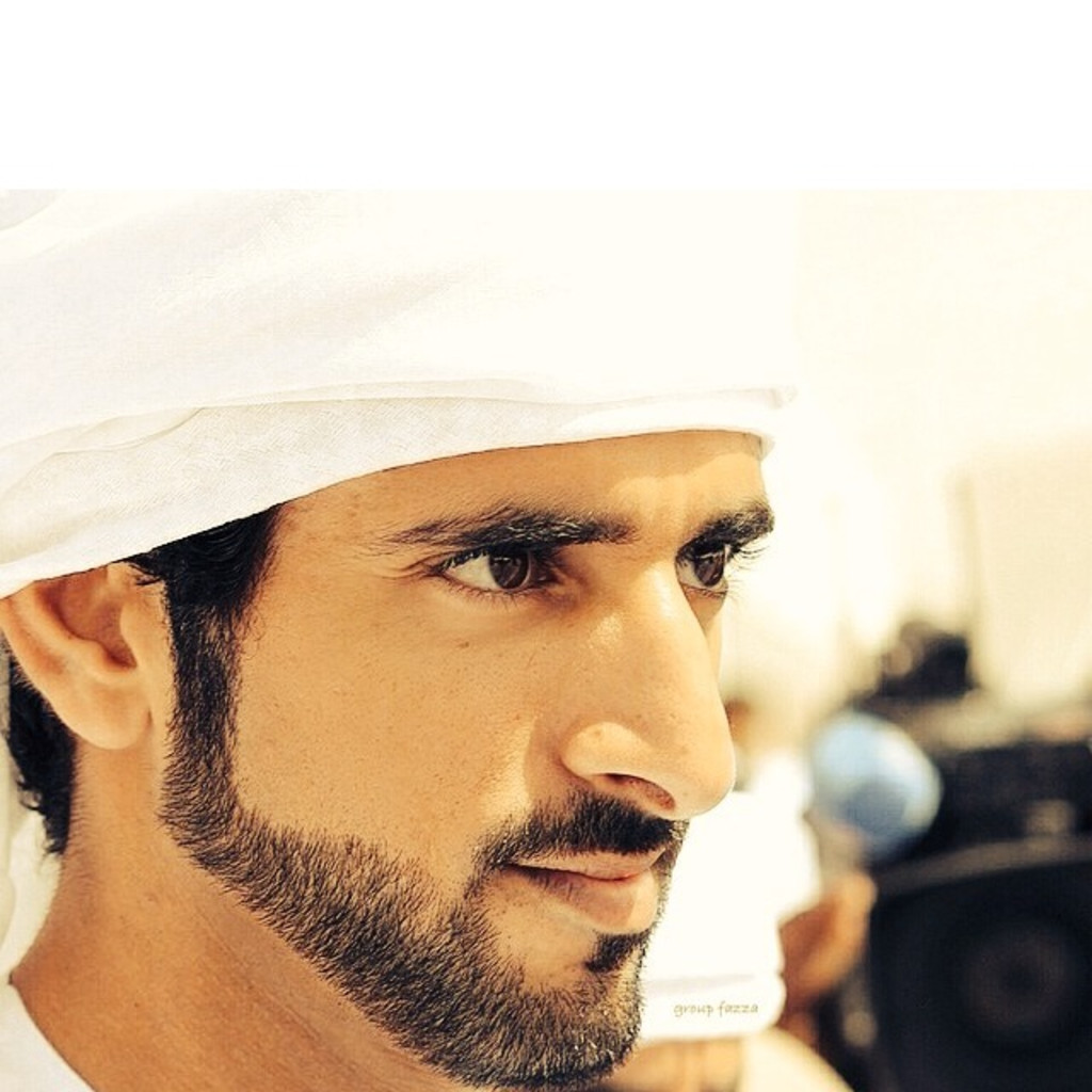 Mehtab Shaikh - marketing consultant - logodesign.ae | XING