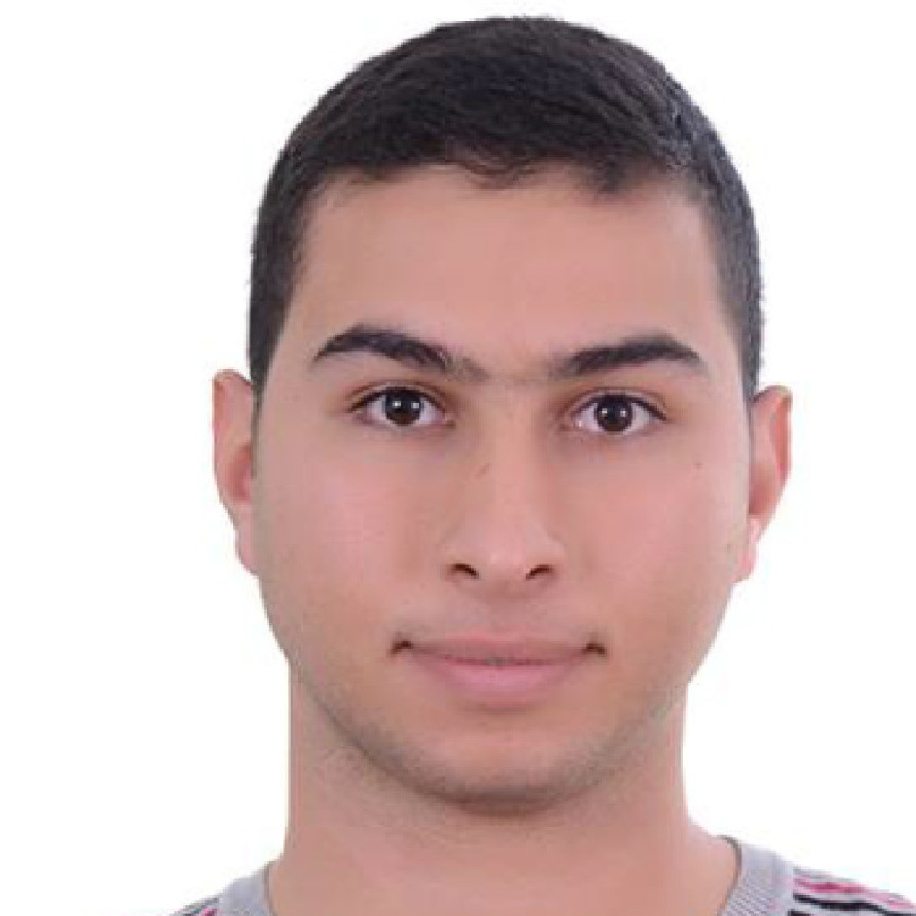 Mohamed Allouche - Embedded Systems - national school of engineer of ...