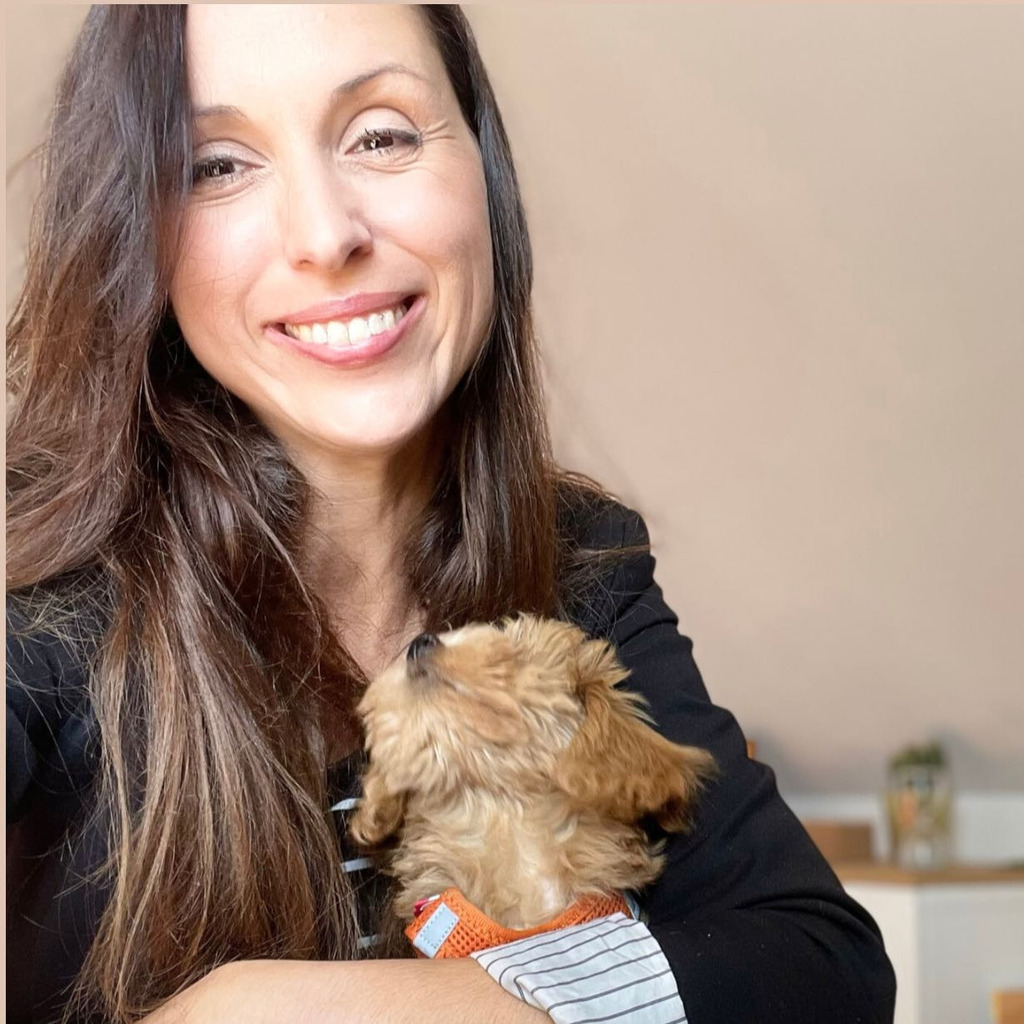 Van Stein's Instagram, Twitter & Facebook on IDCrawl