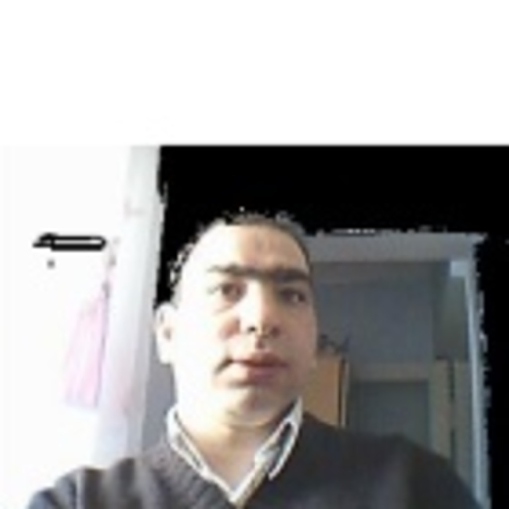 Ali Demirci - usta - sampi | XING