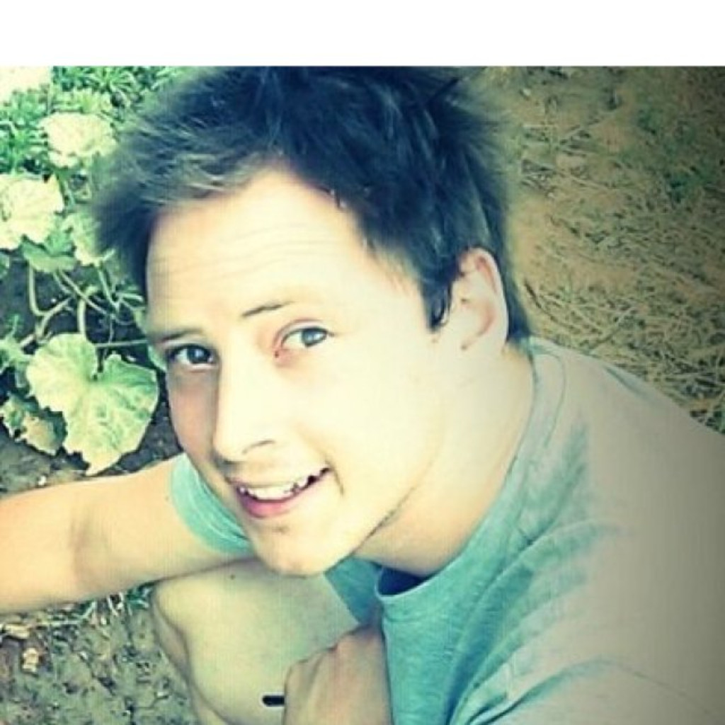 Dmitry Rodionov - Software developer - EMC | XING