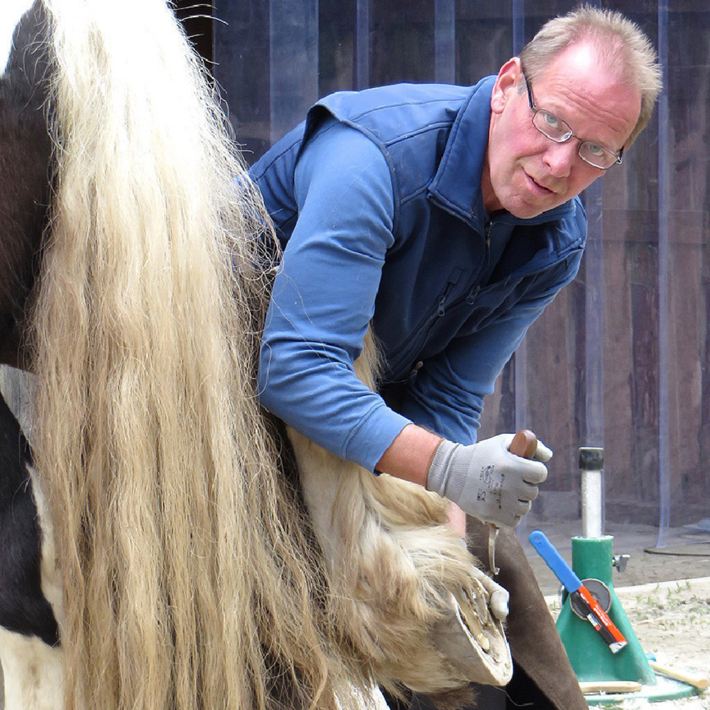 Adrian Teuscher - Barhufpfleger - Teuscher Barhufpflege | XING
