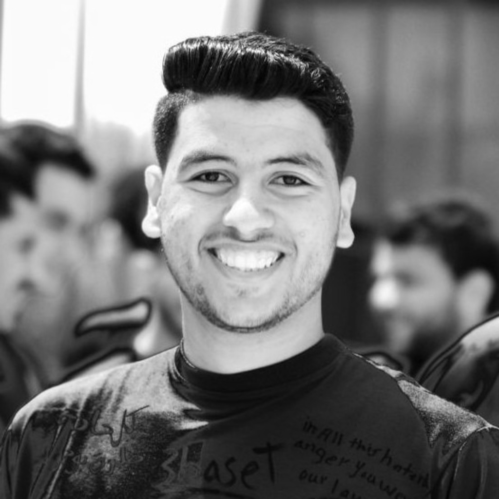 Mostafa Elshnhab - flutter developer - Mount Wolf | XING