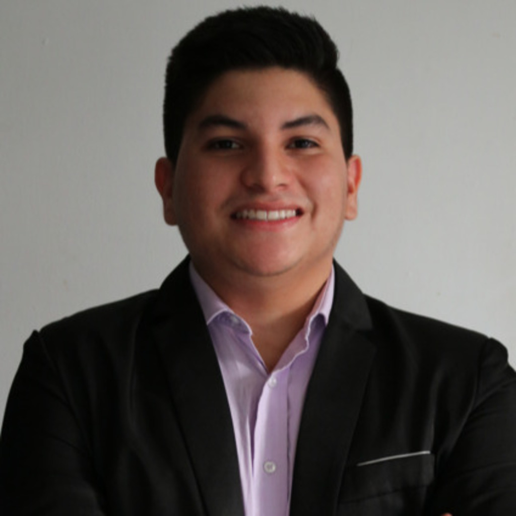 Ivan David Mardini Garcia - Software-Entwickler - Mertus Consulting ...