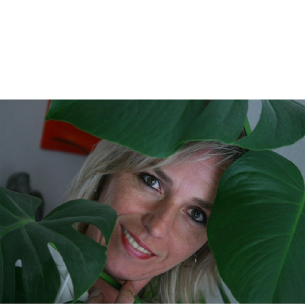 Erik Springer's Instagram, Twitter & Facebook on IDCrawl