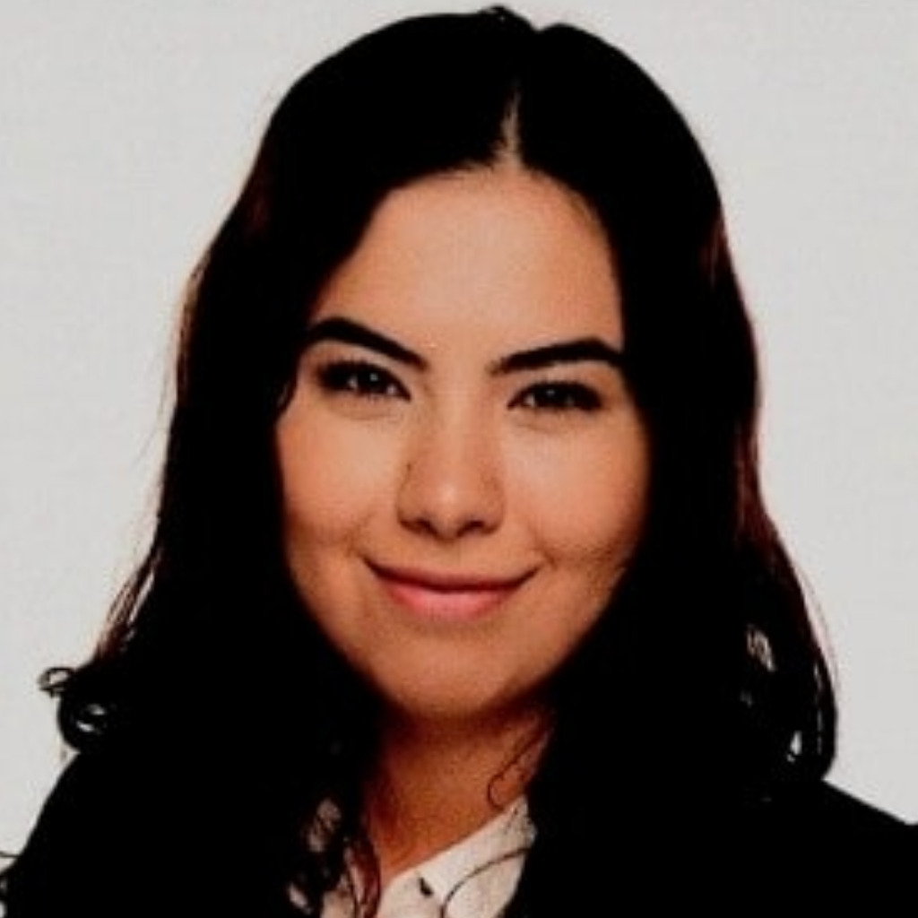 Berfin Pala Data Scientist SupplyOn AG XING