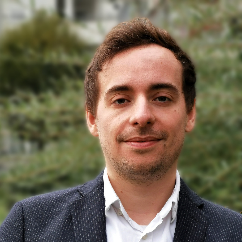 Robin Dieges - Leading Consultant - syracom – business efficiency ...