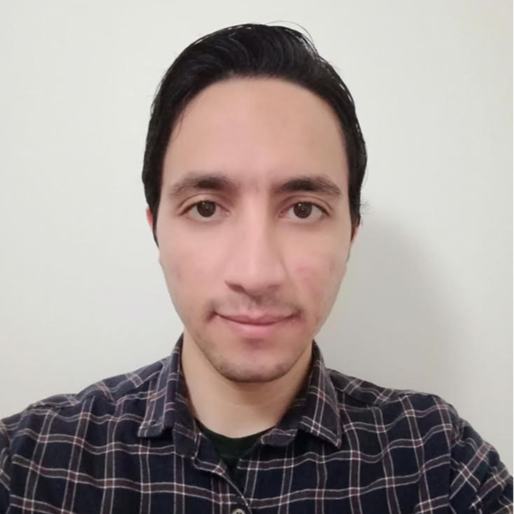 Mohamed Samer - Senior Network Security Engineer - Telonic GmbH | XING