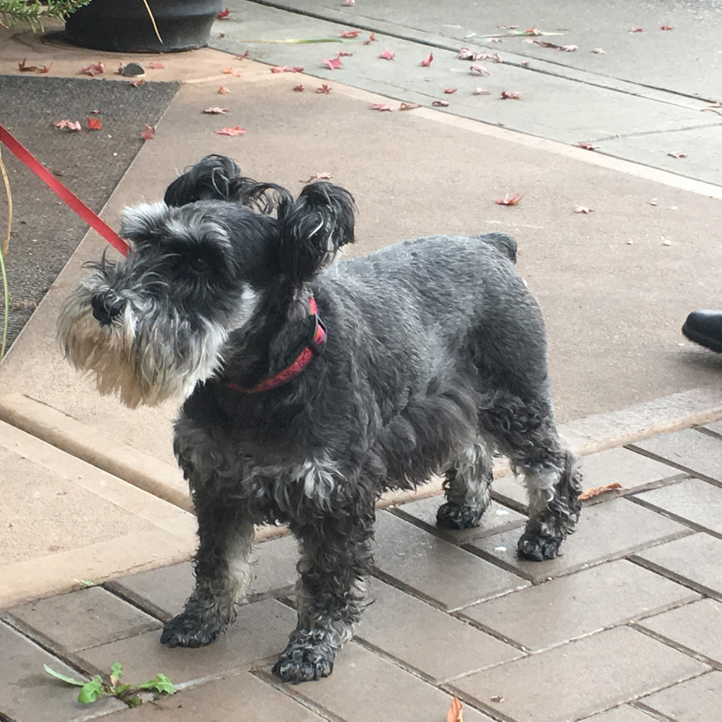 Peter Sugden - Manager - ABC GmbH | XING