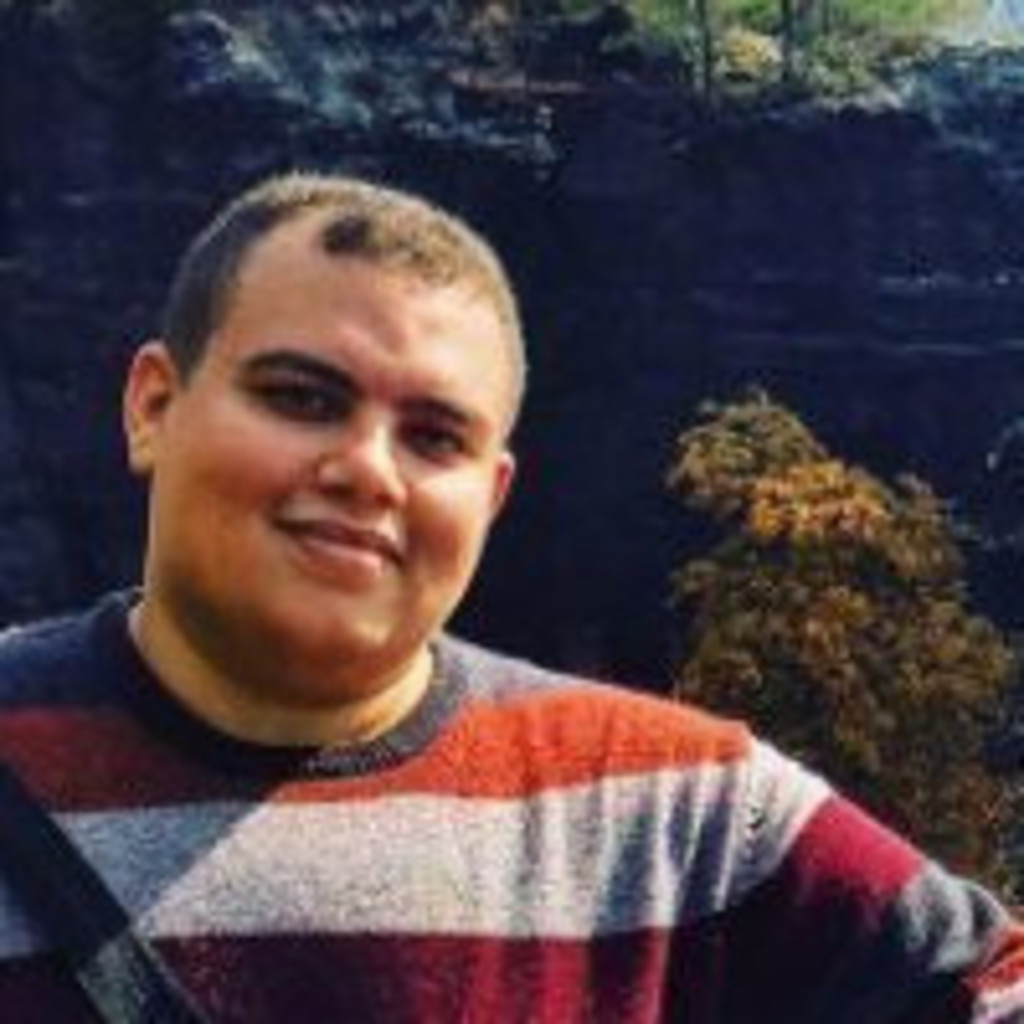 Islam Wahdan - Software Engineer - ICT Automatisering, Netherlands | XING