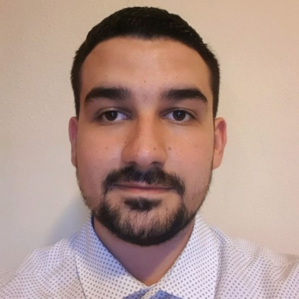 Dipl.-Ing. Teodor Maior - Project Manager - Valeo | XING