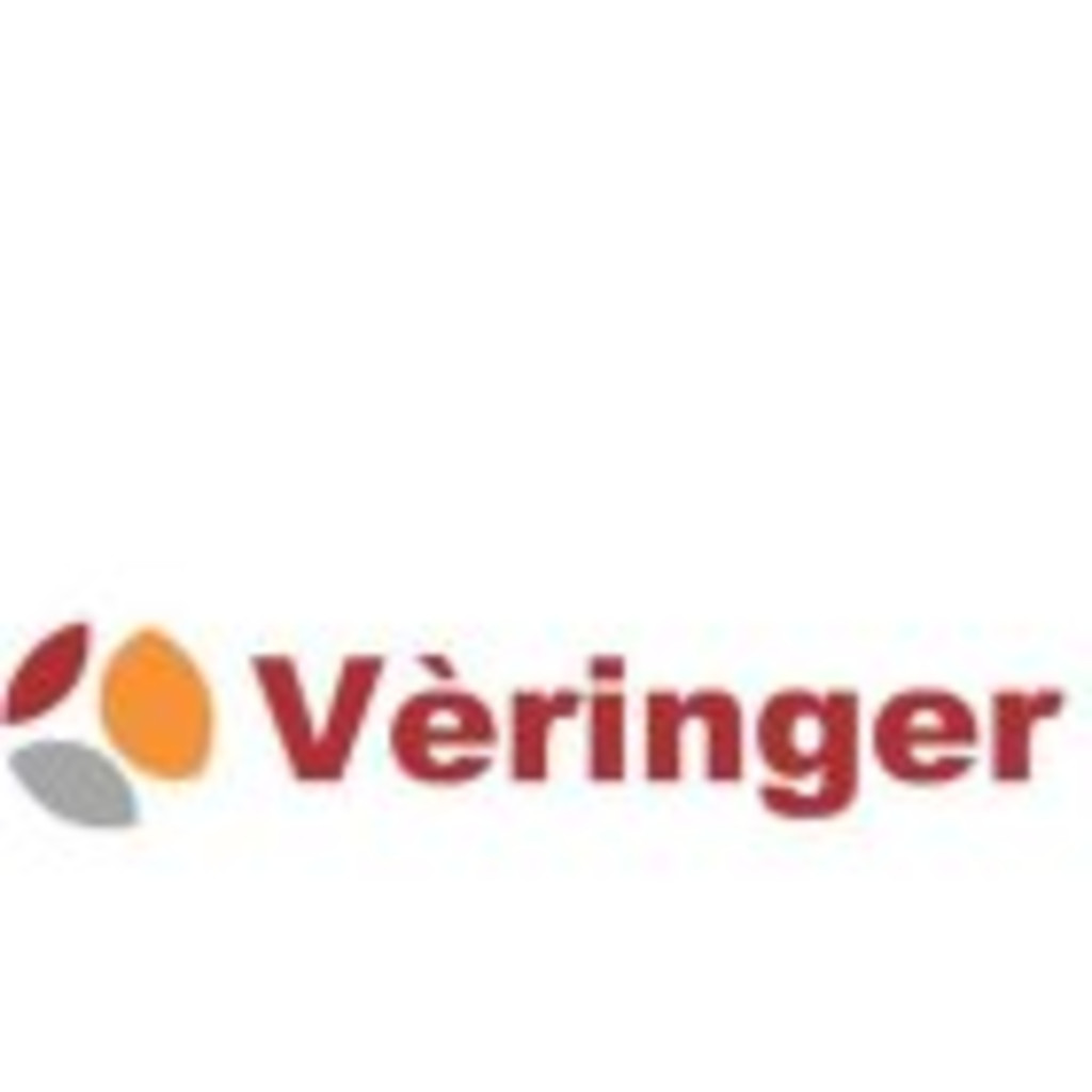 Julia Taviel de Andrade Nieto - Gestión RRHH - Veringer Ingeniería ...