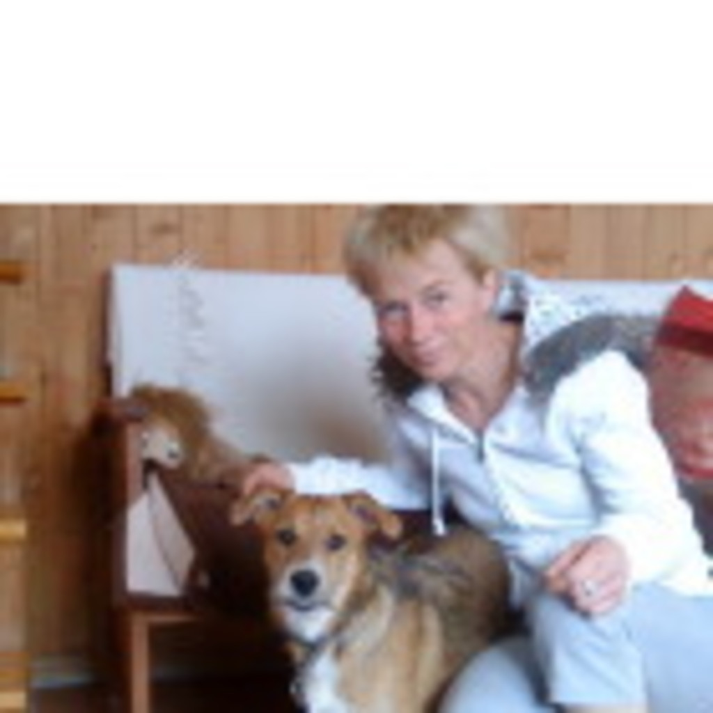 Sabine Haack: Ausbildung und Berufserfahrung | XING