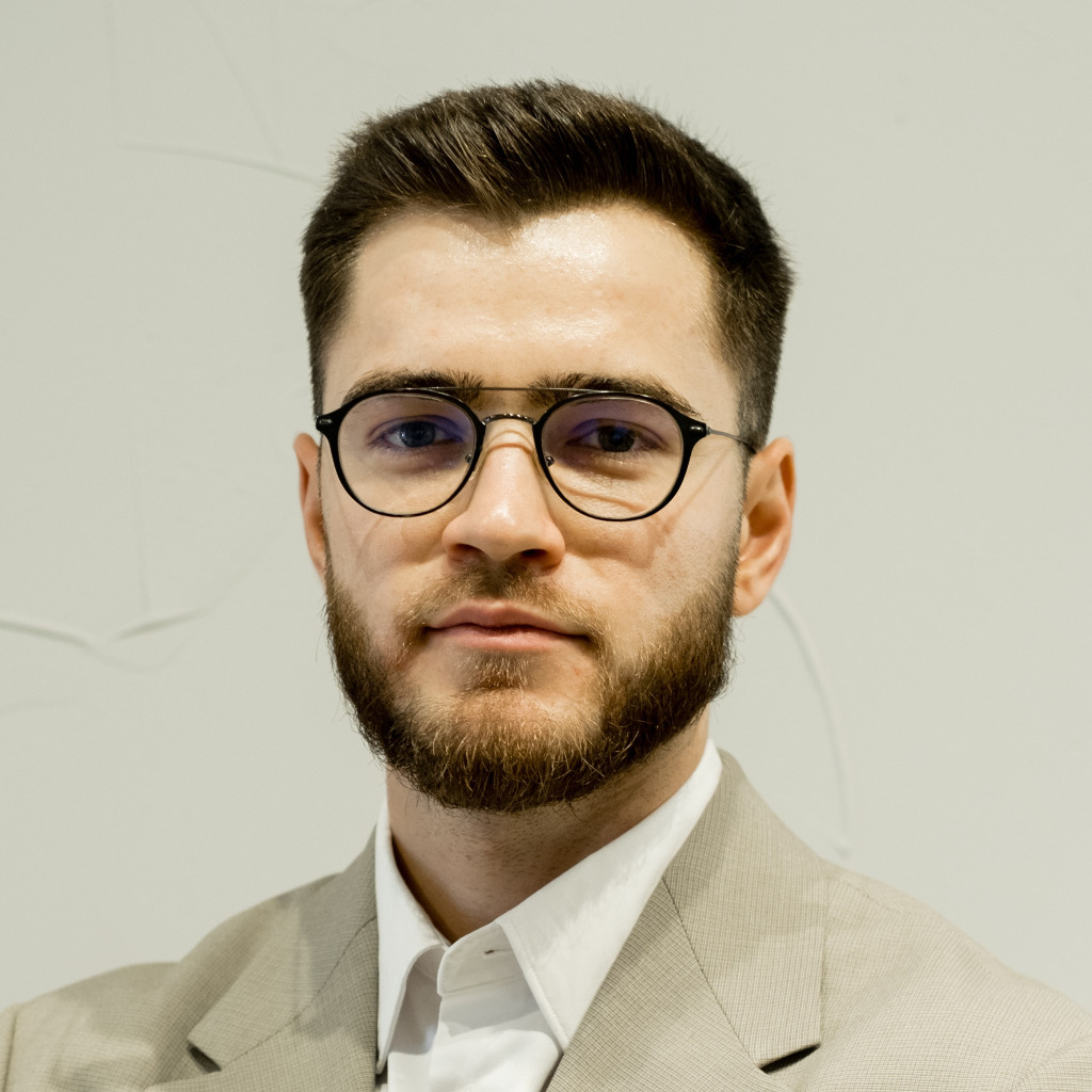 Alex Fieraru - Senior .NET Engineer - Remote Work | XING