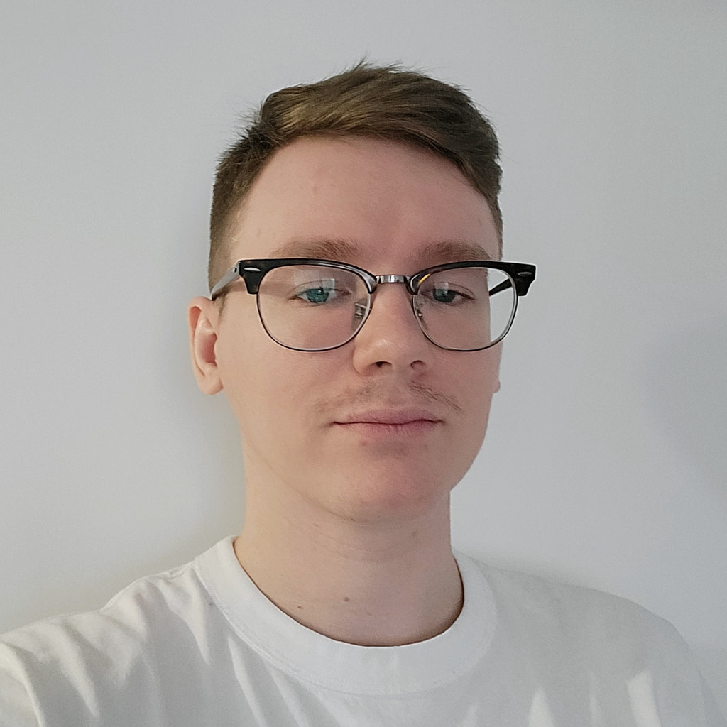 Dmitrii Burenok - Backend Developer - Visitech LLC | XING