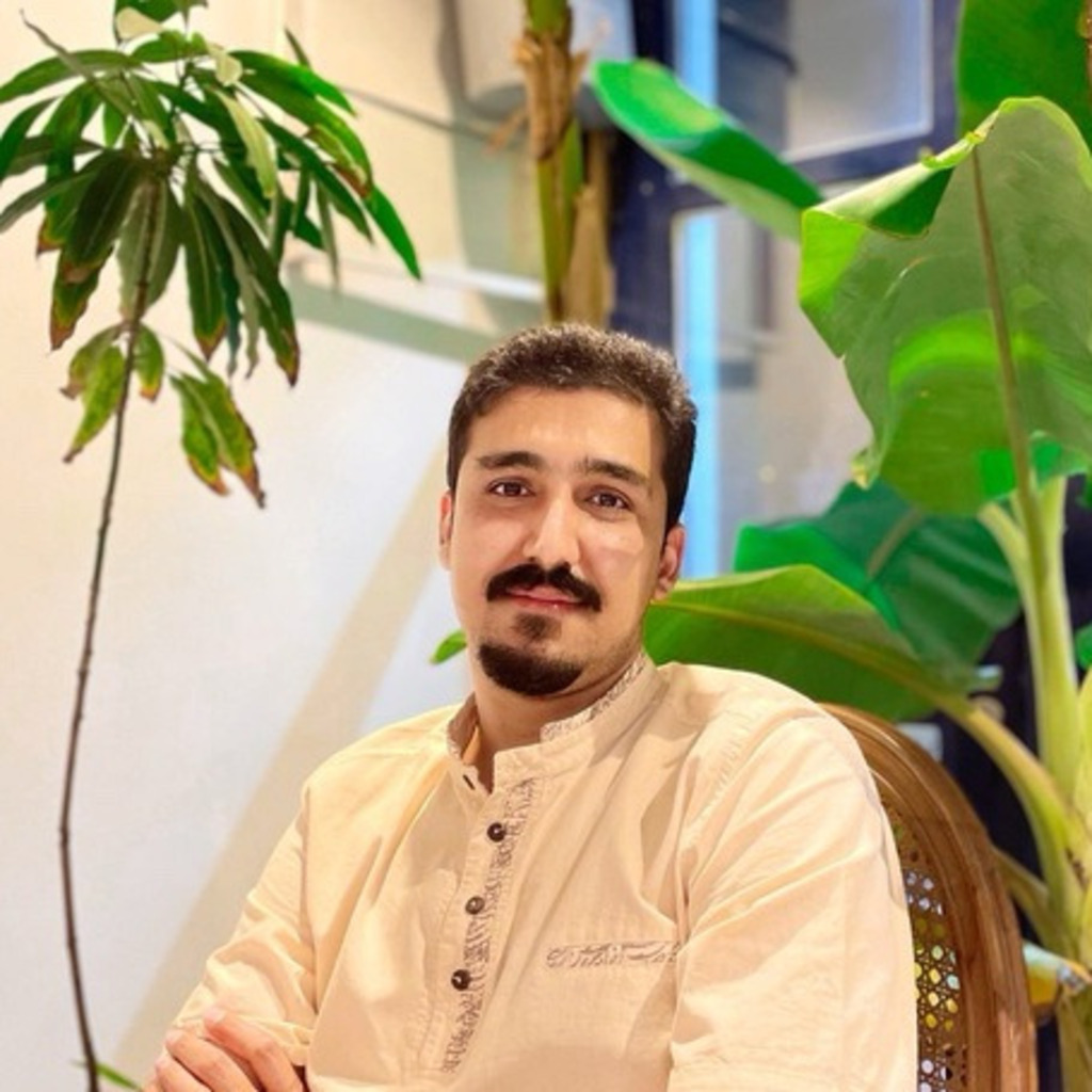 Ali Amini - Renewable Energy Consultant - saba niroo | XING