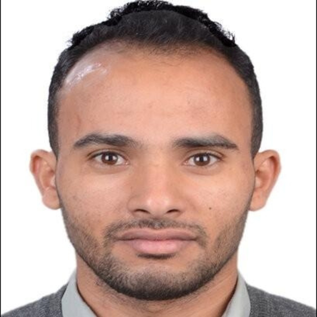 Zeyad Hatem: Ausbildung und Berufserfahrung | XING