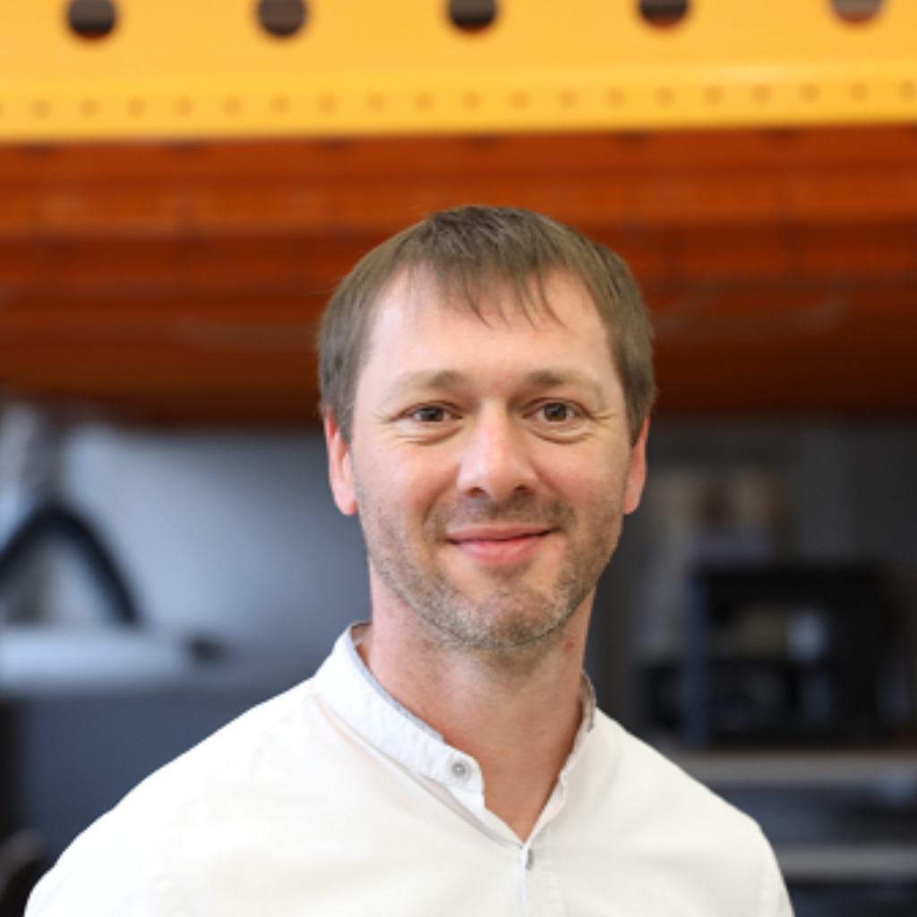 Danilo Just - Projektleiter am Institut für Innovation, Design und ...