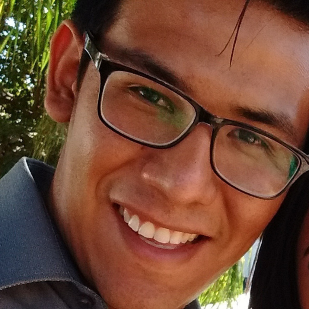 Victor Francisco Rodriguez Cisneros - Capturista - Pinturas Prisa | XING