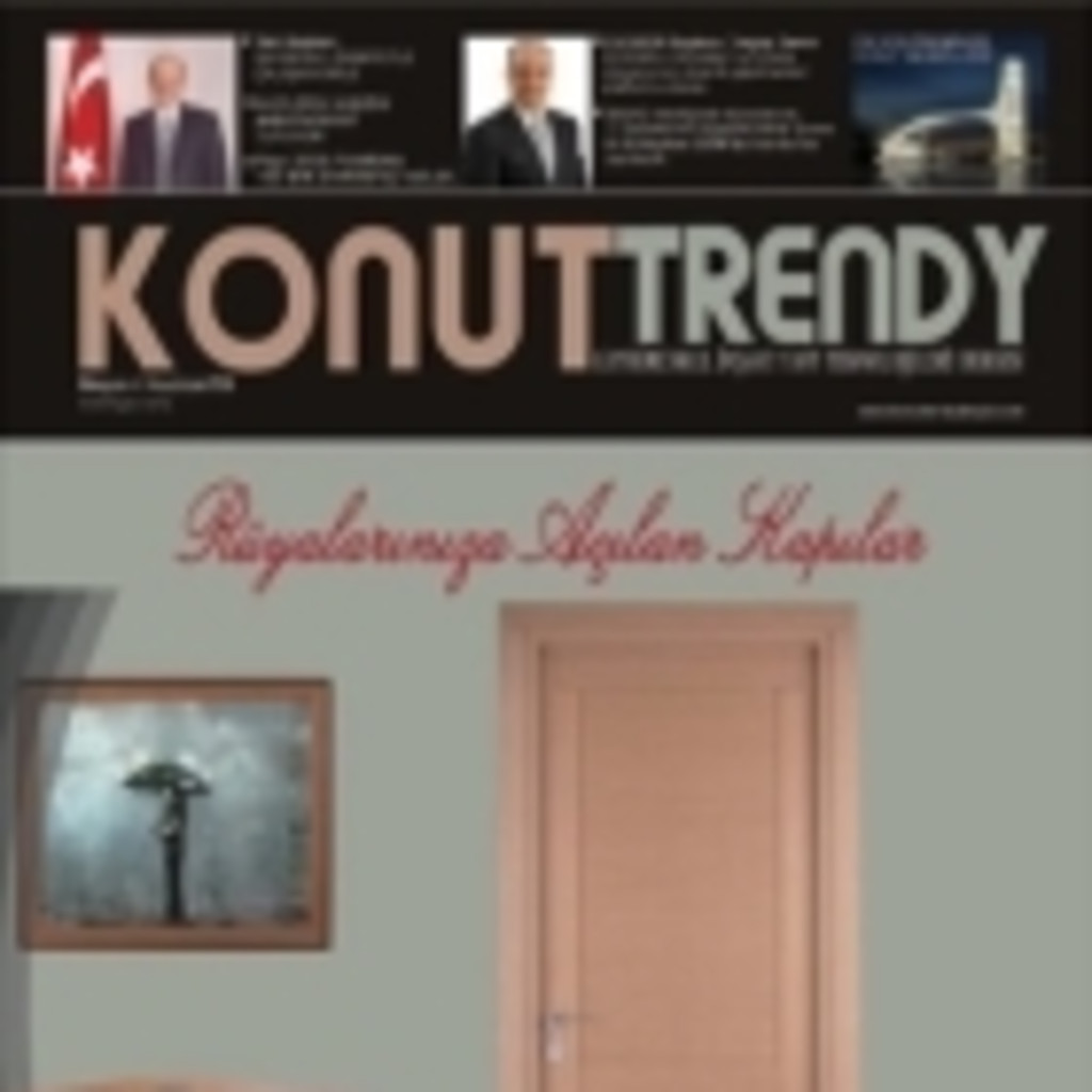 Kemal Hızarcı - müdür - Konut Trendy Dergisi | XING