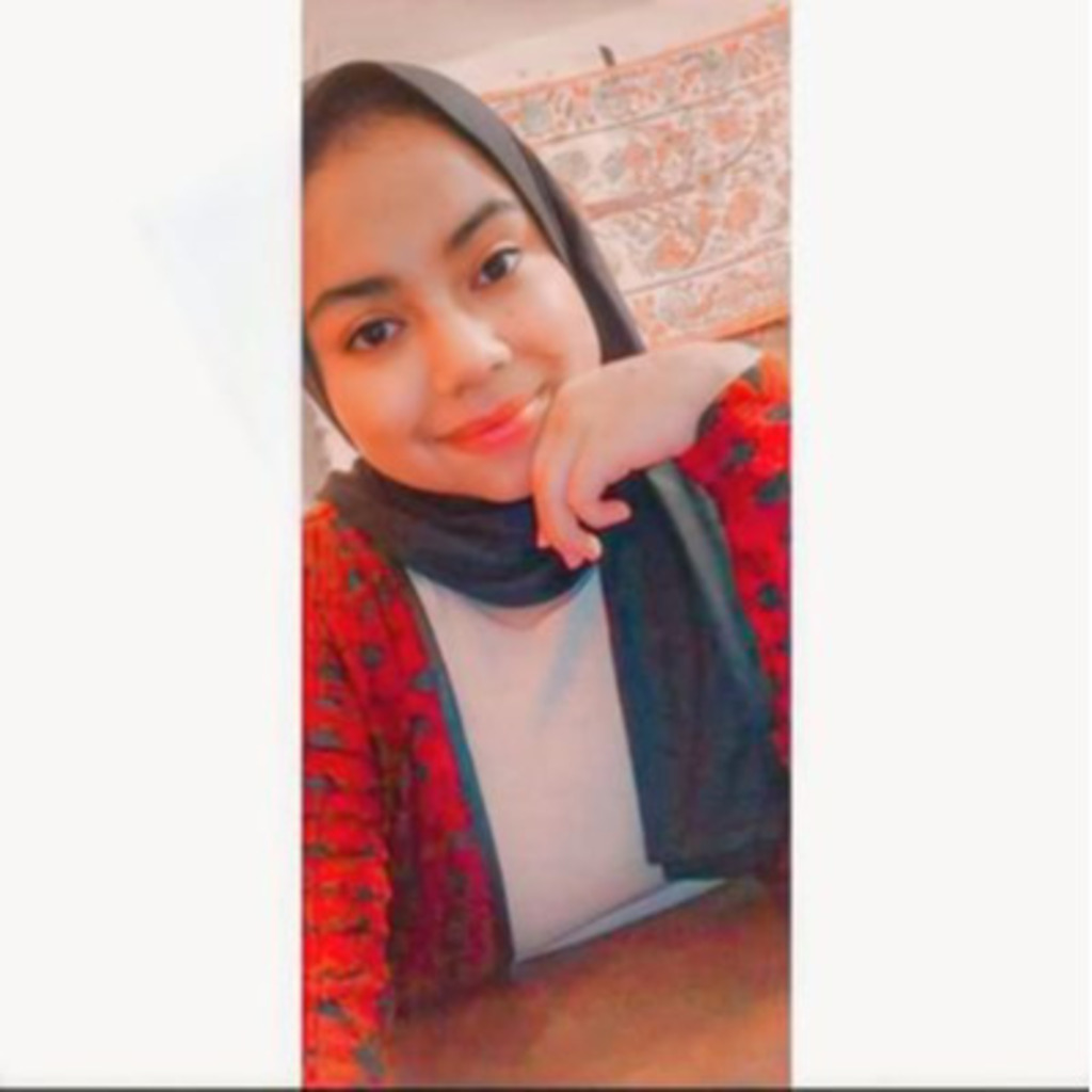 Nourhan Sayed - Business Administration - University of the People | XING