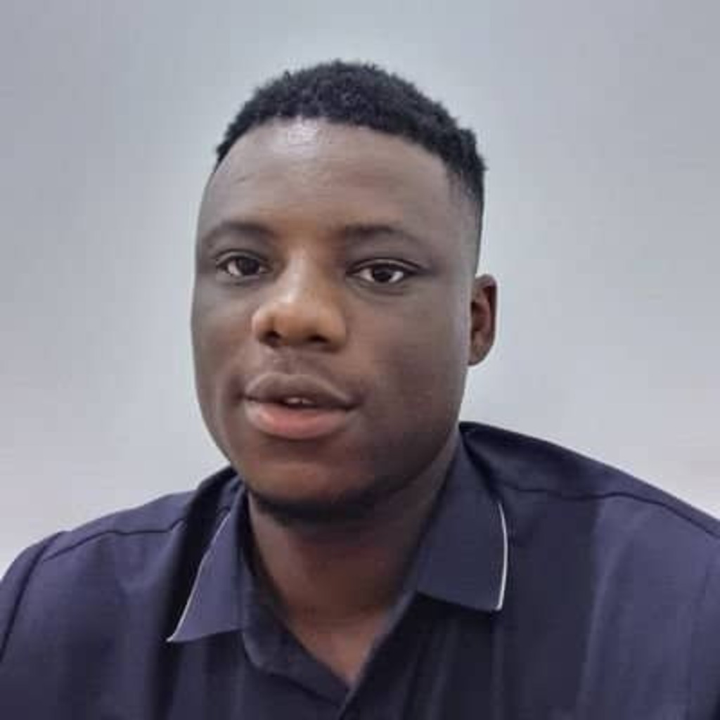 Precious Ugboyekolo - Electrician - Technowell Global Concept Limited ...