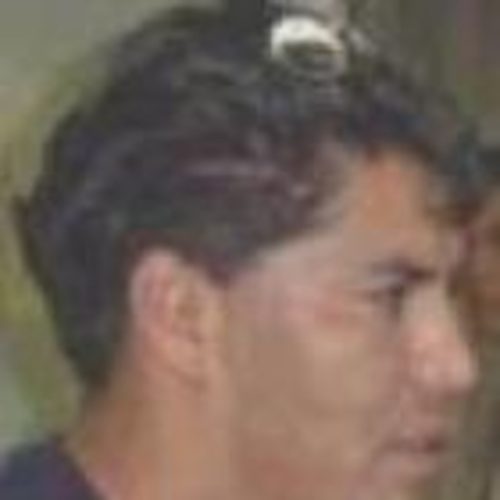 adrian castro - Consultor - eds | XING