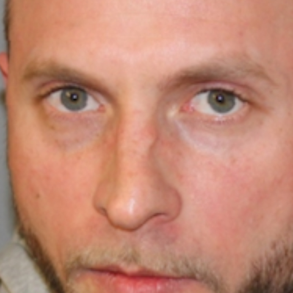 nikita losev: Ausbildung und Berufserfahrung | XING