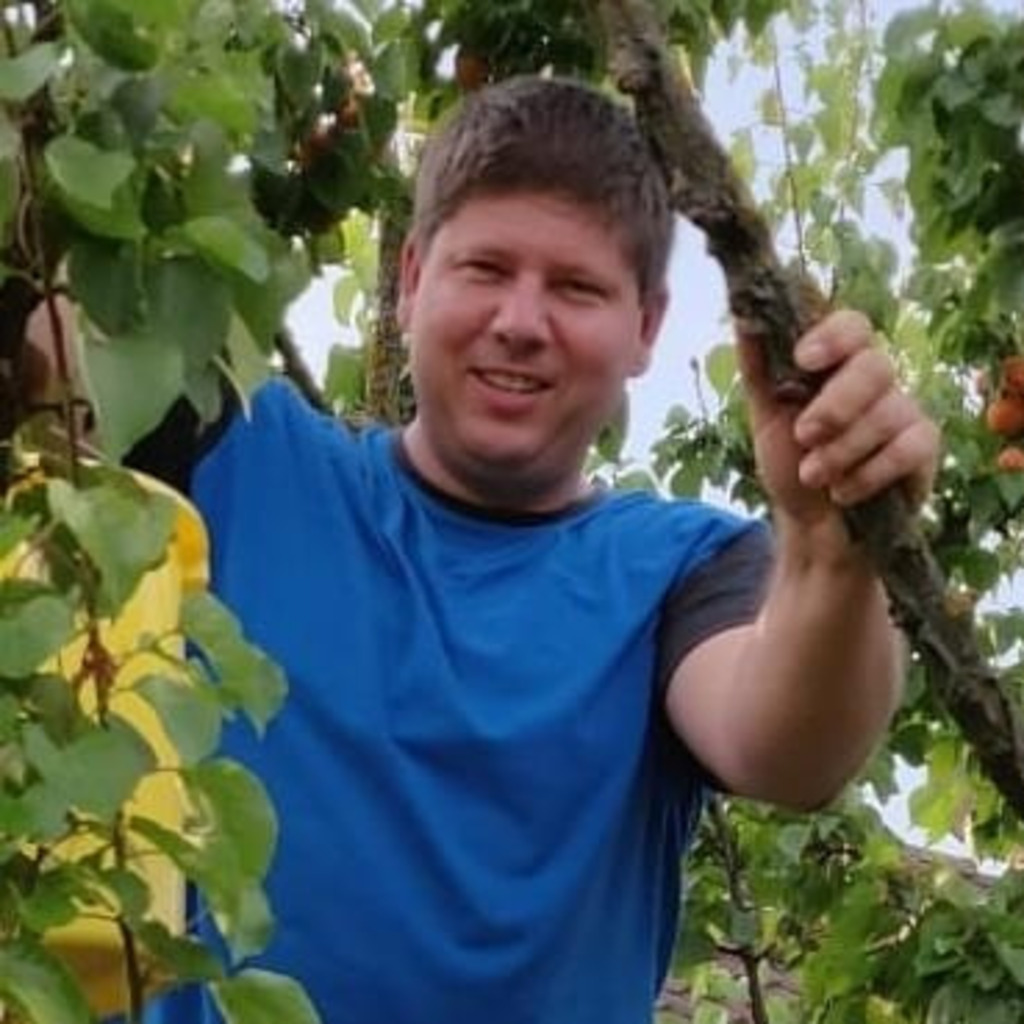 Thomas Wölfel - Gewerblicher Geschäftsführer Elektrotechnik ...