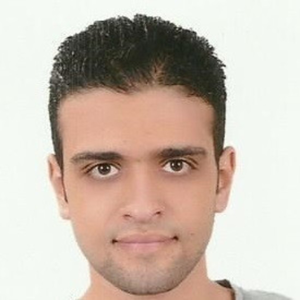 Omar Hassan - full stack .net developer - paragons | XING