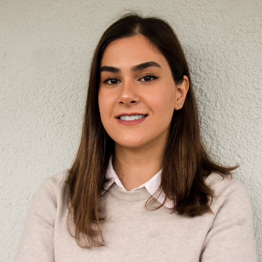 saba pakdel - Architect - Behsaz Larzeh Melal (BLM) Consulting Co | XING