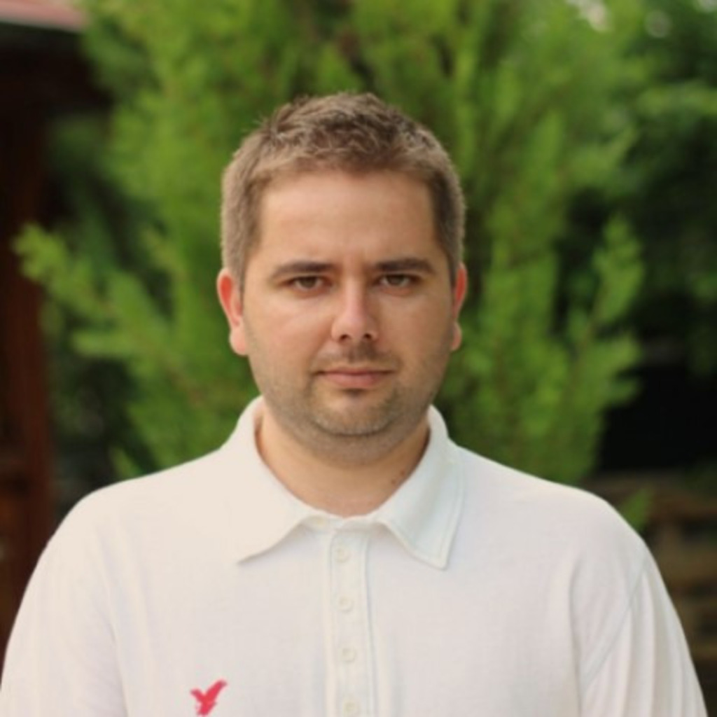 Florentin Radu - SAP MM Specialist / Process expert - SLB | XING