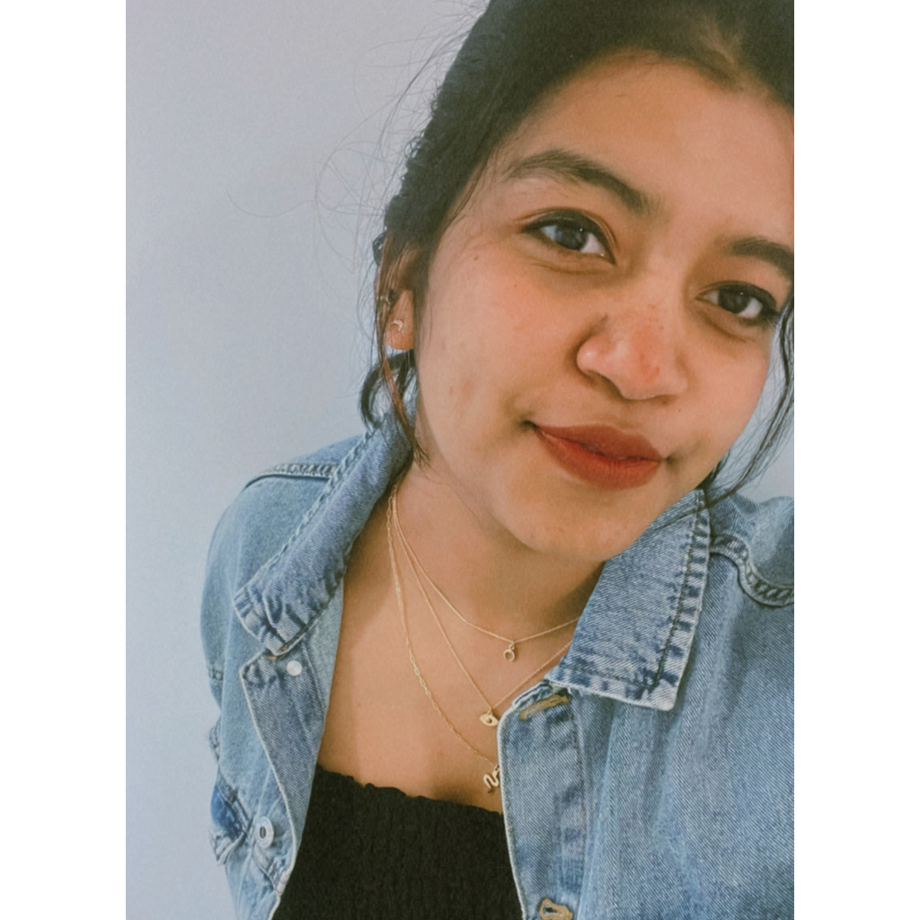 Sajina Puthiyapurayil - Artificial intelligence - Technische Hochschule ...