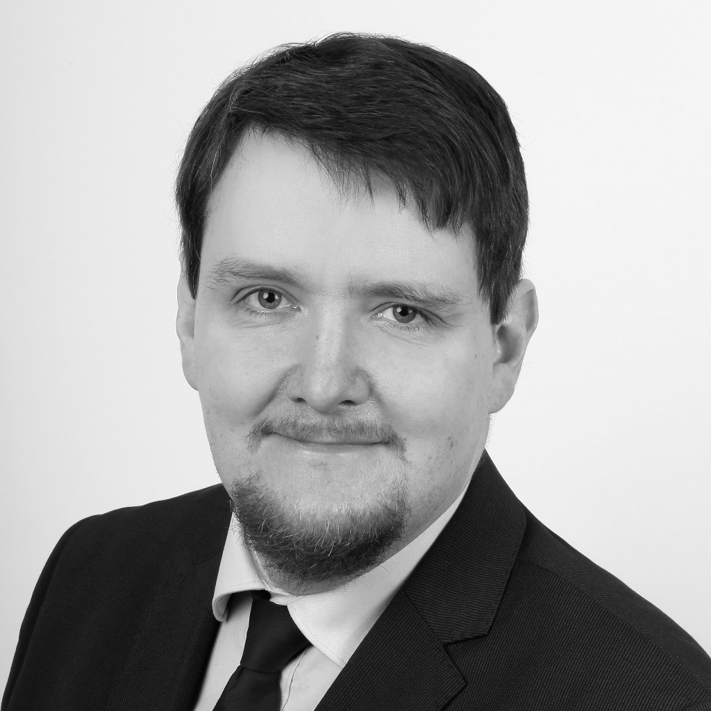 Steven Ehrlich - Revisor - Niedersächsischer Landesrechnungshof | XING