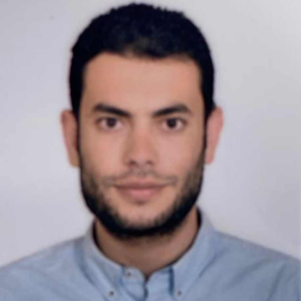 mahmod gamal - Enterprise Architect - DSS | XING