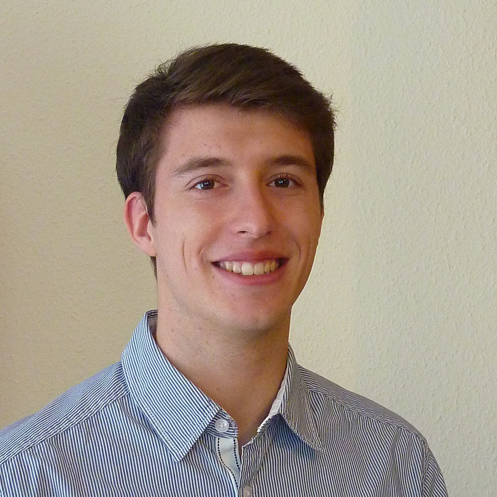 Christian Heck - Projektingenieur - rnv Rhein-Neckar Verkehr GmbH | XING