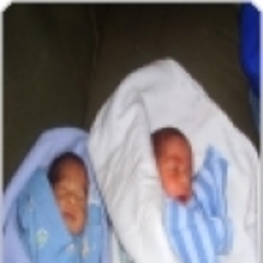 gerson gilberto chavez faz - Director General. Tesorero. Socio - NUEVA ...