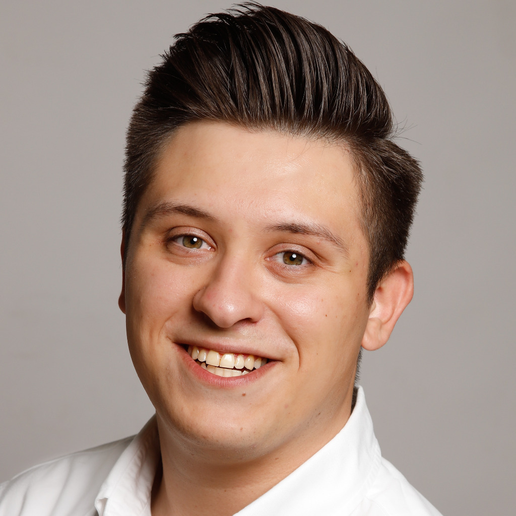 Anes Cosic: Ausbildung und Berufserfahrung | XING