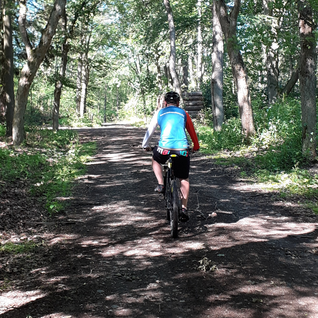 Mathias Rudolf - Datenqualitätsmanager - Harzsparkasse | XING