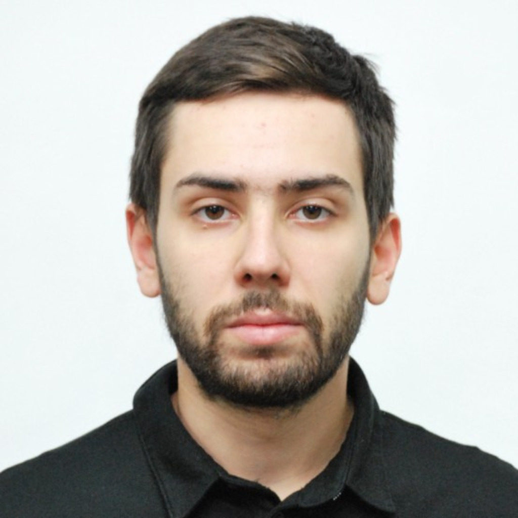 Anton Merlian - Team Lead Software Developer - Zionet | XING