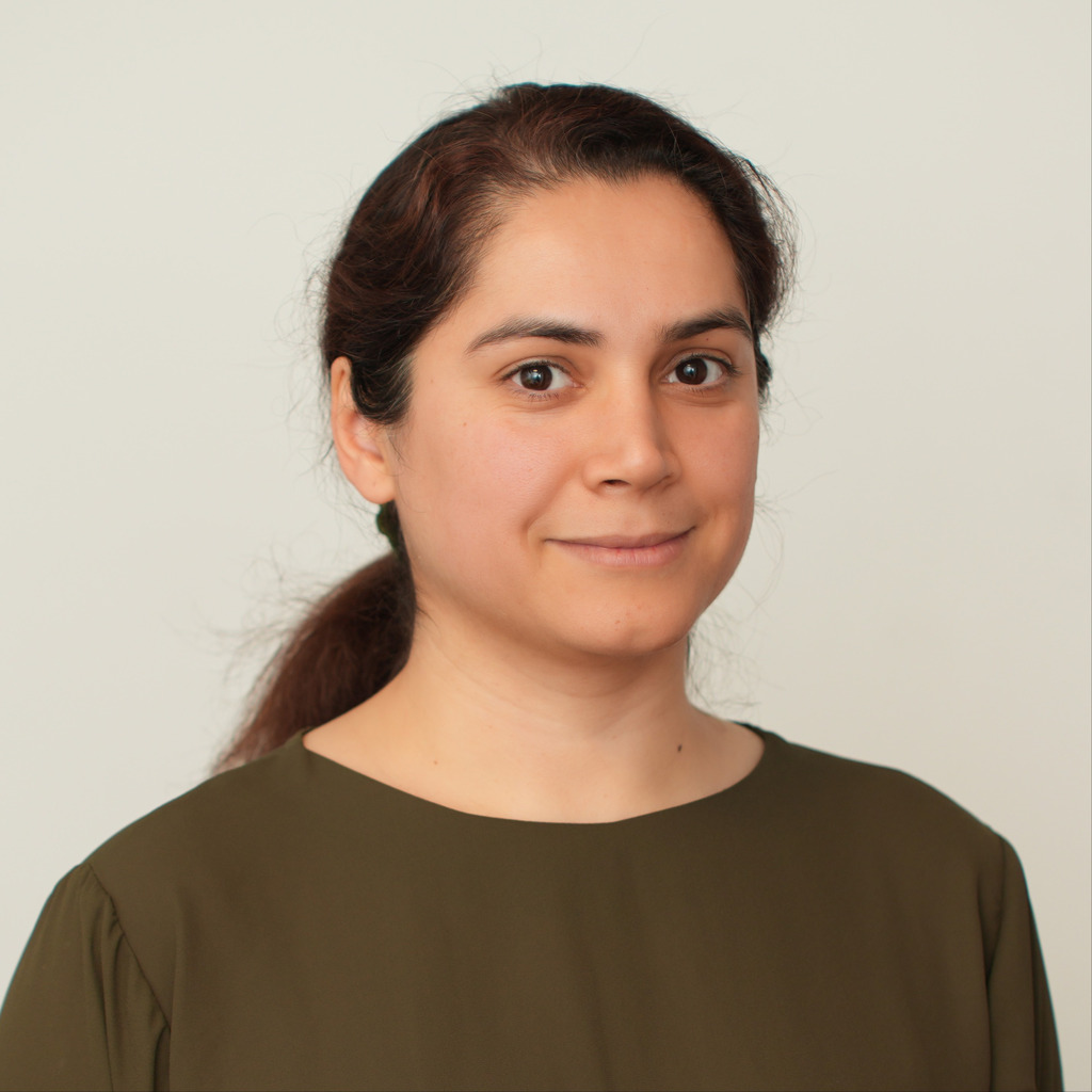 Roya Rahmani - Expertin für Software Test und -Analyse - System Group ...