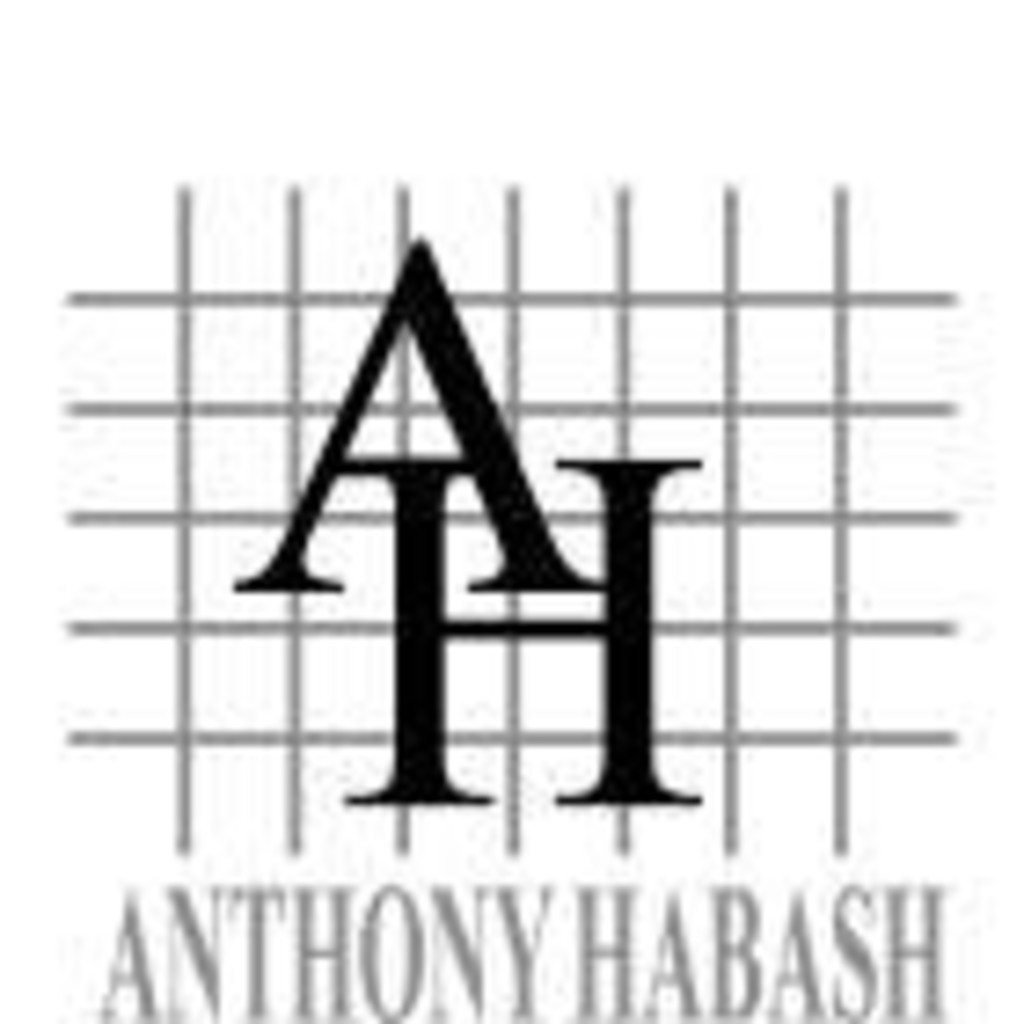 Anthony Habash - Executive Manager - AH & ASSOCIATES | XING